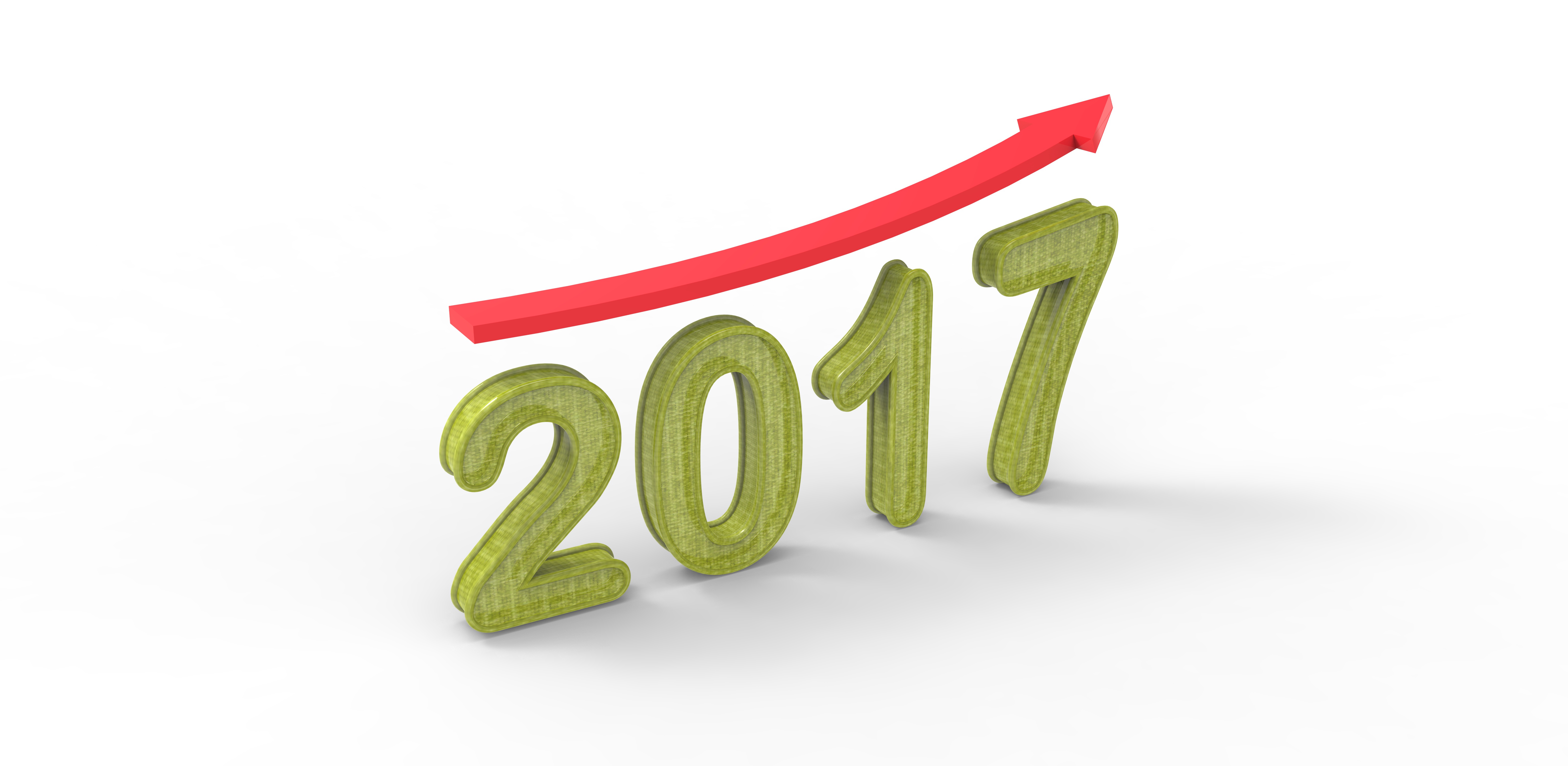 Does Your P-Card Program Have a New Year’s Resolution? - Card Integrity